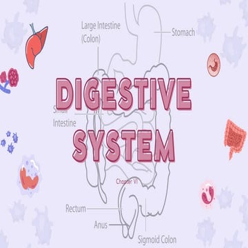 CHAPTER-6-DIGESTIVE-SYSTEM.pdf sjhshshshshshshsh | PDF