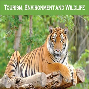 Chapter 6 Tourism, Environment and Wildlife (Destination Management) | PPT