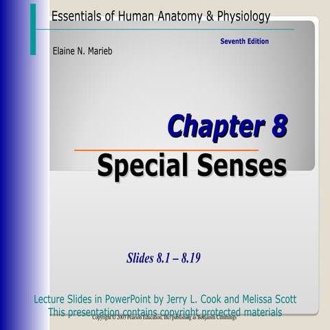 Sensory organs eyes | PPTX