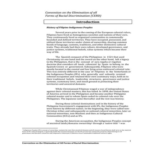 Chapter 8: CERD Chapter | PDF