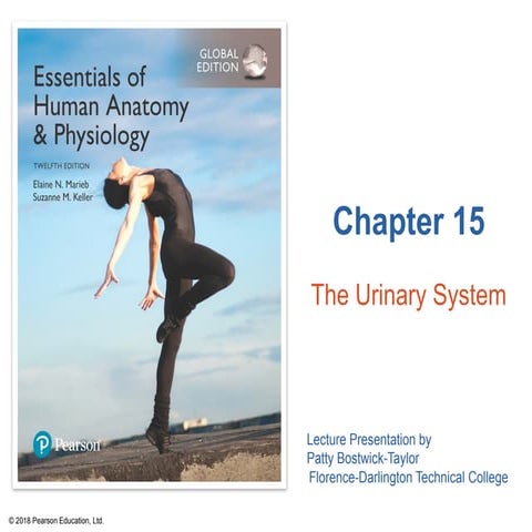 Chapter-XV-The-Urinary-Systemmmmmmm.pptx