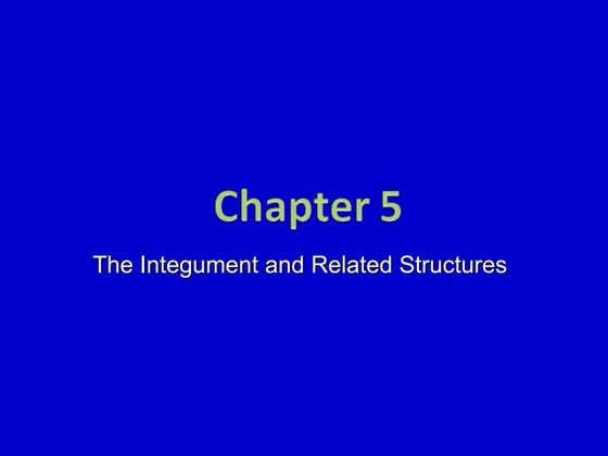 Skin anatomy and physiology | PPT