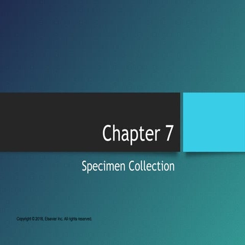 Chapter 007 | PPT