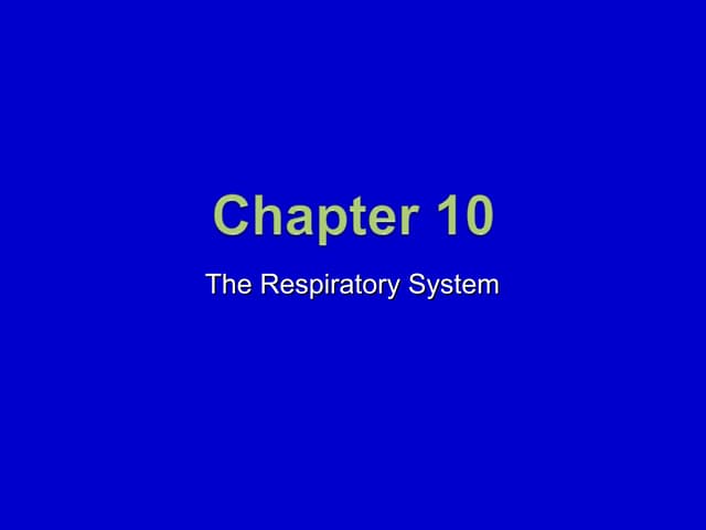 Grade 8 - Respiratory System | PPT