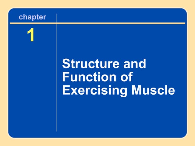Muscle fibre types | PPT