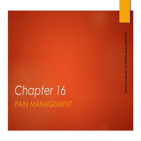 Chapter 016 | PPT