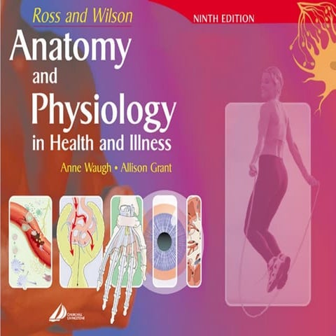 Chapter 016 skeleton | PPT