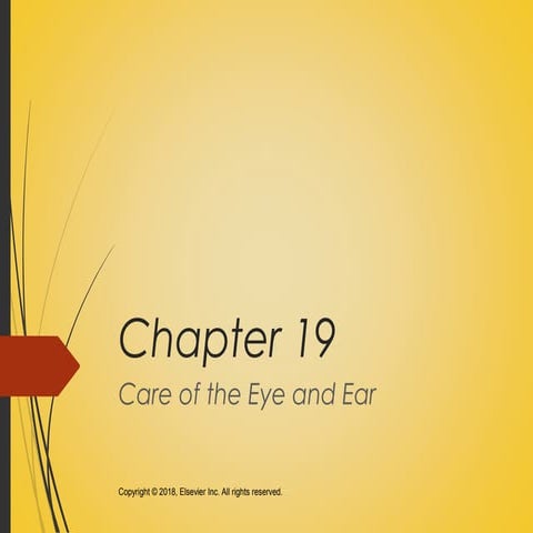 Chapter 019 | PPT