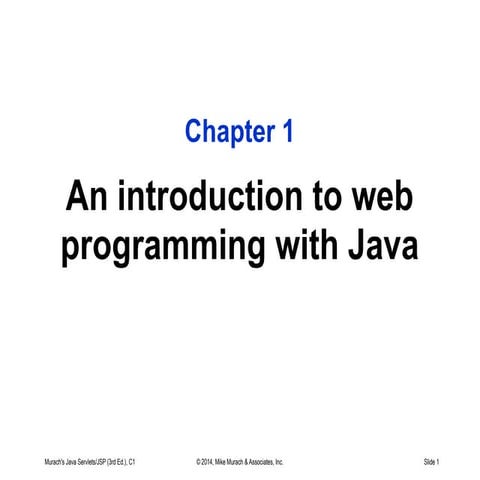 Chapter 01 slides.pptx website programming | PPTX