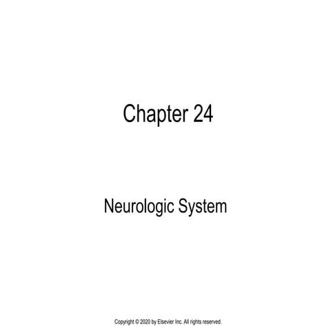 Chapter_024-Neurologic System.psdddddddddddddptx | PPTX
