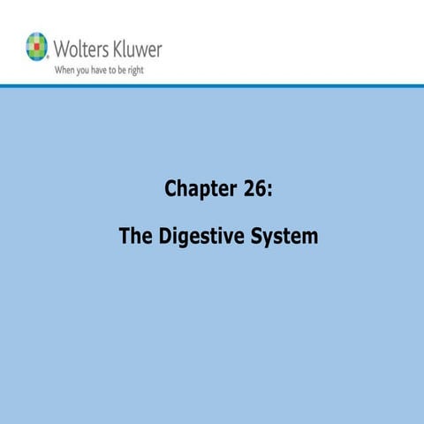Chapter 26: The Digestive System PowerPoint | PPT