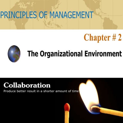 Chapter # 02 the organizational environment | PPTX