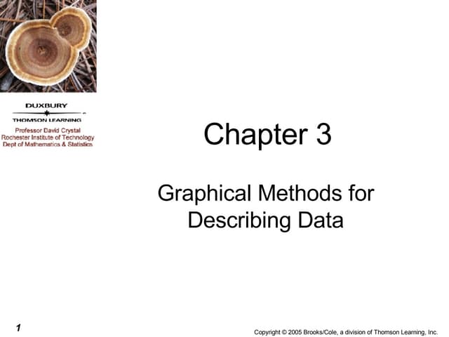 Business Statistics Chapter 2 | PPT