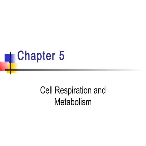 Chapter05 cell respiration and metabolism | PPT