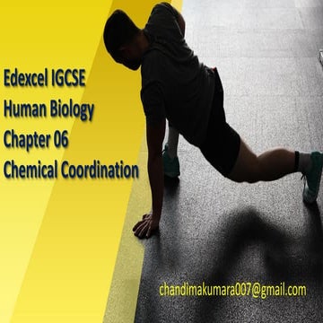 Powerpoint endocrine system | PPTX