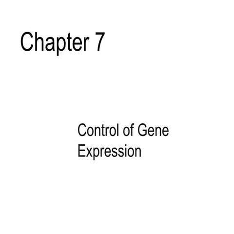 Chapter07 | PPT