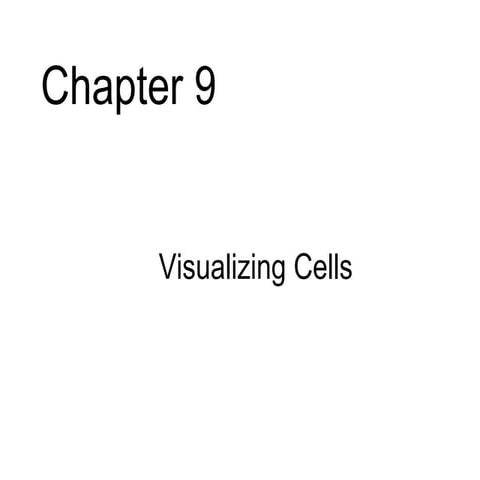 Chapter09 | PPT
