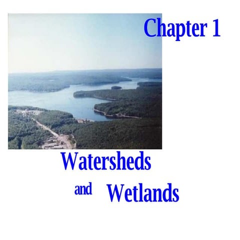 Watersheds and Wetlands | PPT