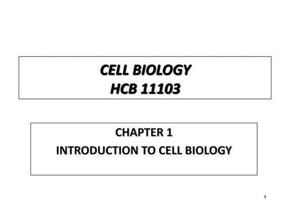 Cells Powerpoint Presentation | PPT | Biological Sciences | Science