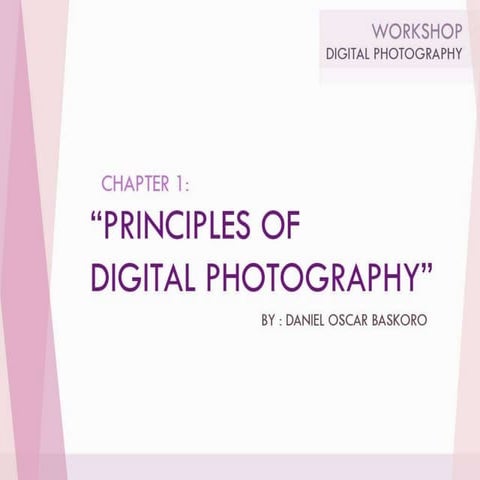 Principles Of Digital Photography | PDF