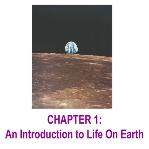 Chapter 1 | PPT