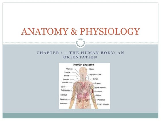 Unit1: Organisation of Human Body | PPT