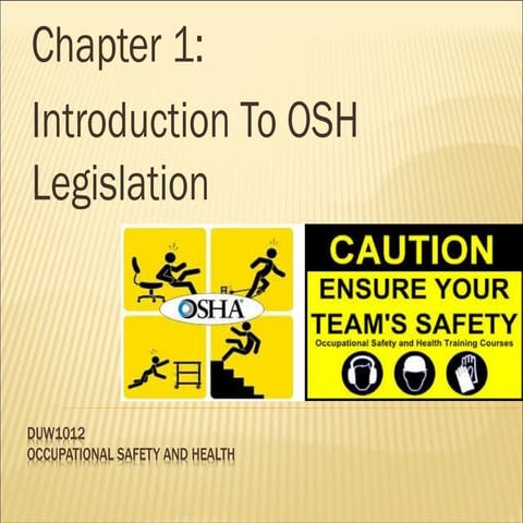 Occupational Health and Safety Powerpoint Presentation | PPTX
