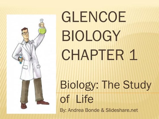 Gaseous Exchange Life Sciences Grade 11 | PPTX