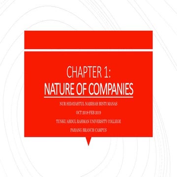 Nature of Company | PPTX