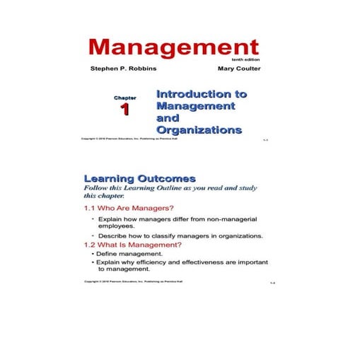 Introduction to Management and Organization | PDF