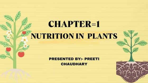 Chapter - 1, Nutrition in Plants, Science, Class 7 | PDF