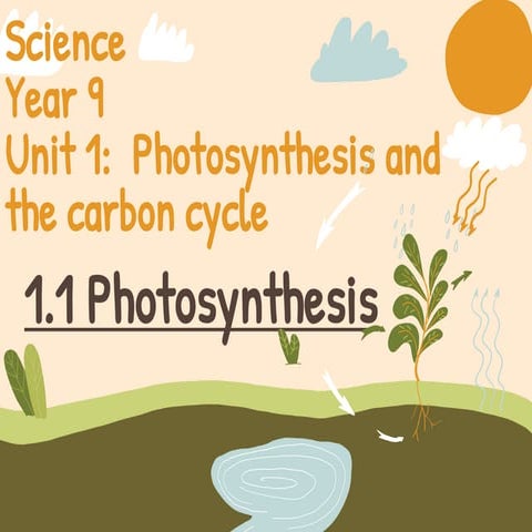 Photosynthesis for plant and carbon cycle | PDF