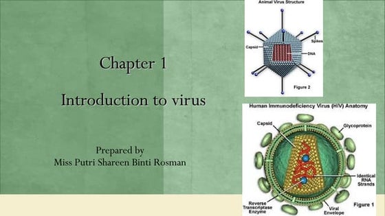 Viruses | PDF | Biological Sciences | Science