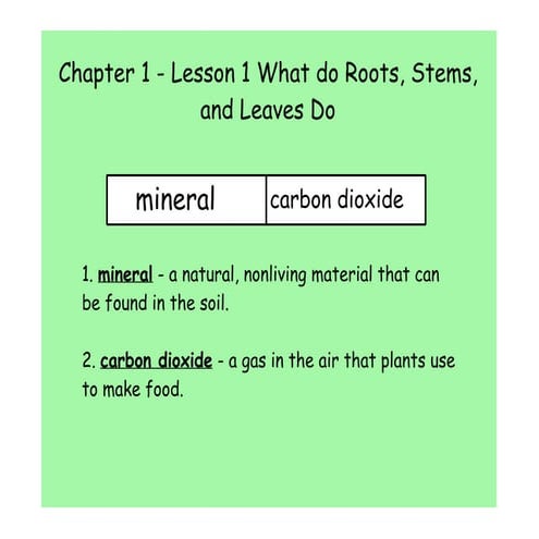 Lesson 1 | PDF