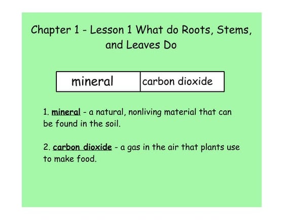 Plants 3rd grade | PPTX