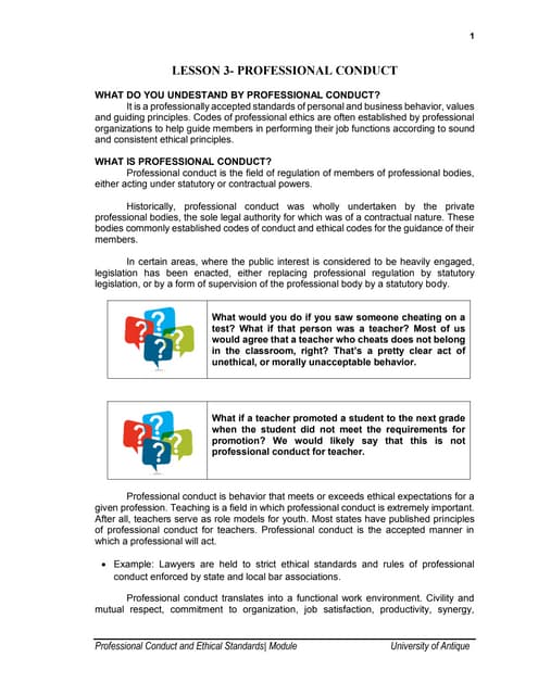 Training on professionalism in the workplace | PPTX