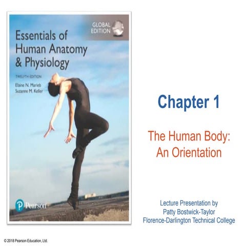 CHAPTER 1-THE HUMAN BODY-AN ORIENTATION.pptx
