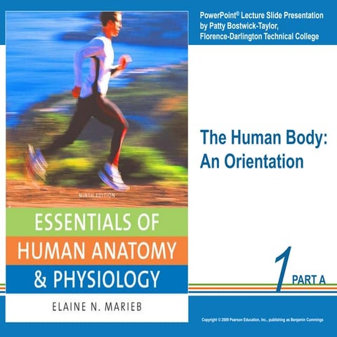 Chapter 1 - The Human Body An Orientation.pdf