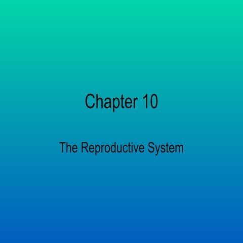 Chapter 10 presentation | PPT