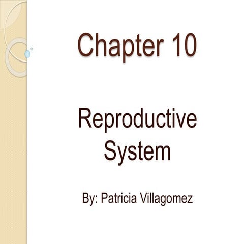 Chapter 10-reproductive system | PPTX
