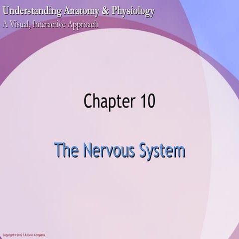 Chapter10 - Nervous Sytem | PPT