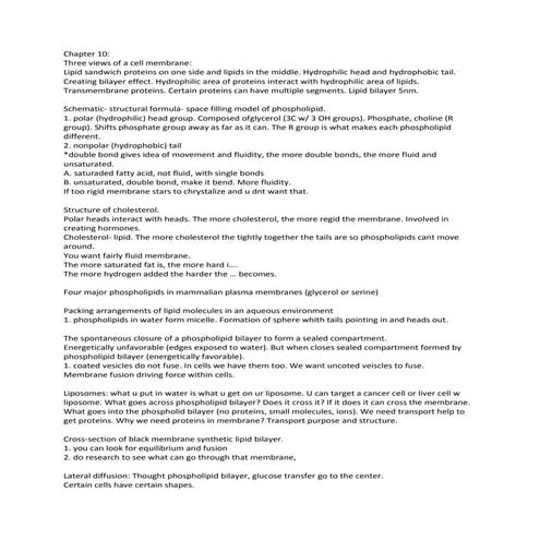 Chapter 10 and 11 class notes | DOC