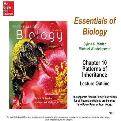 Chapter 10 - Patterns of Inheritance.pptx