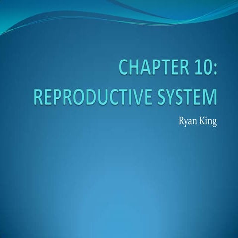 Chapter 10 presentation | PPT