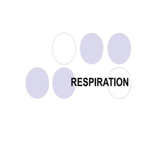 Chapter 10 respiration | PPT