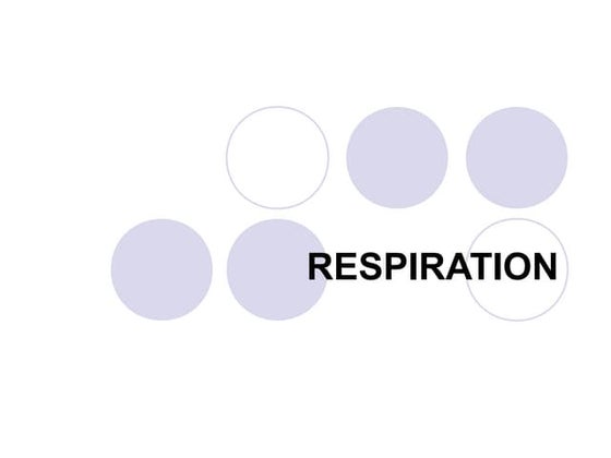Mechanism of respiration | PPT