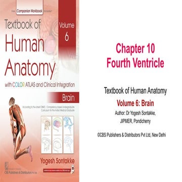 Chapter 10 Fourth Ventricle anatNew.pptx
