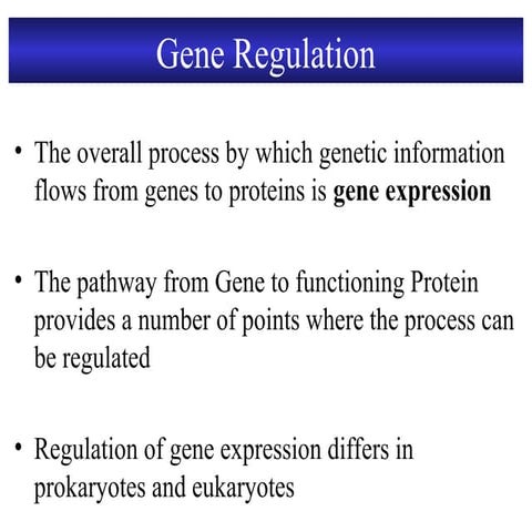 Lecture notes GENE REGULATION IN EUKARYOTES.pdf