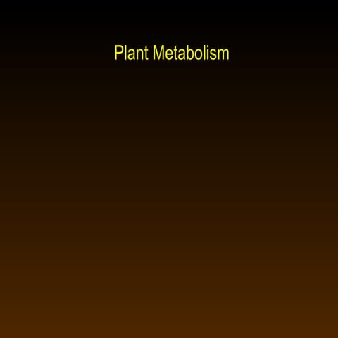 Chapter 10 Metabolism | PPT