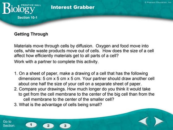 Cell Size | PPT | Biological Sciences | Science
